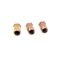 China Steel Reduce Head Full Hex Body Rivet Nut Zinc Plated Copper Yellow Color for sale