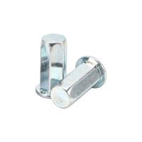 China FH-FHBC Steel Full Hex Body Close End Rivet Nuts Flat Head Zinc Plated Nuts for sale