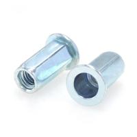 China Flat Head Full Hex Rolling Stock Rivet Nut Steel Material Zinc Plated Finish for sale