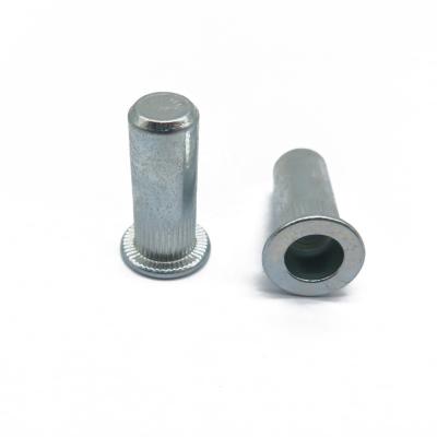 China Flat Head Knurled Body Close End Rivet Nut Small Hole Diameter M4 M6 M8 M10 for sale