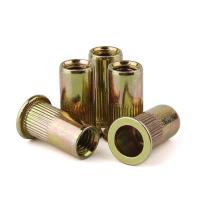 China Metric Measurement System Carbon Steel Big Round Flat Head Knurled Body Rivet Nut with Color Zinc Plated FH-KB for sale