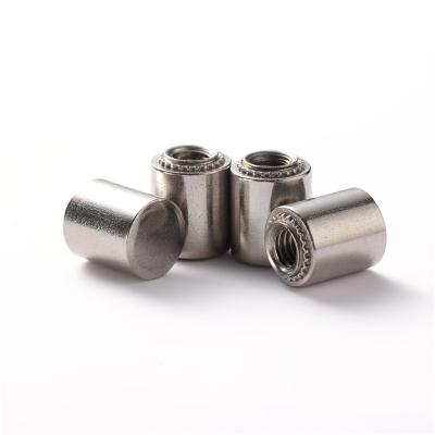 China Stainless Steel Self Clinching Blind Fasteners Waterproof Riveting Nut BS Threaded for sale