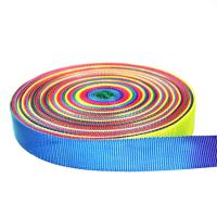 China Blue 3cm Polyester Polypropylene Webbing For Dog Collars High Strength for sale