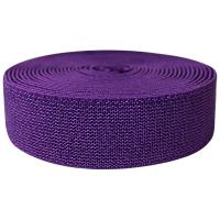 China Woven 40mm Metallic Waistband Elastic Purple Silver Glitter Elastic for sale