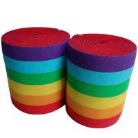 China 9.5cm Striped Nylon Webbing Rainbow Elastic Band Woven Colorful for sale