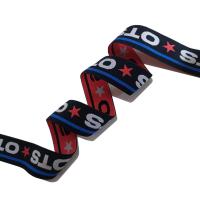 China High Tenacity Jacquard Elastic Webbing 2cm-6cm Nylon Elastic Black for sale