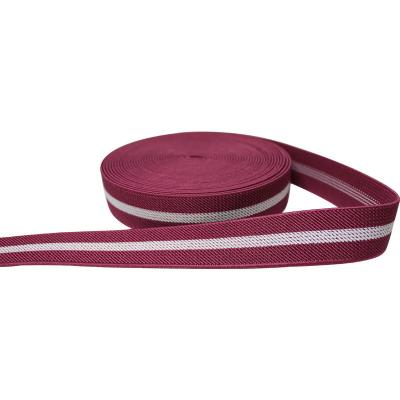 China Swimwear Sublimation Webbing 25mm Polyester Webbing By The Yard for sale