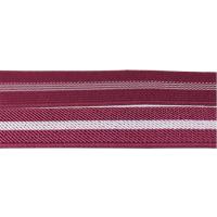 China Swimwear Sublimation Webbing 25mm Polyester Webbing By The Yard for sale