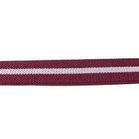 China Swimwear Sublimation Webbing 25mm Polyester Webbing By The Yard for sale