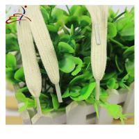 China Raw White 120cm Length Cotton Cord Macrame Rope 10mm Shoe Laces for sale