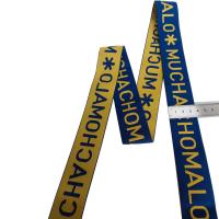 China Garment Accessory Custom Logo Men's Waistband Jacquard Elastic Band For Underwear for sale