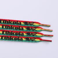 China Soft Printed Polyester Shoelace Custom Design Color Flat Cord With Plastic Tips 1cm Width for sale