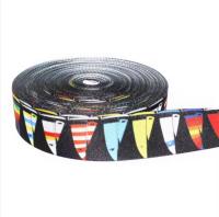 China Polyester Printed Webbing One Side Heat Transfer Strap 2.5cm for Garments and Bags for sale