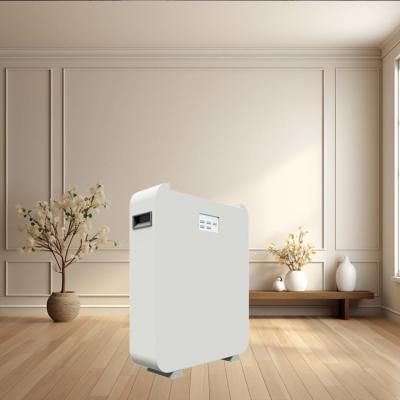 China Residential ESS Lithium Battery Wall Mounted Deep Cycle OEM ODM for sale