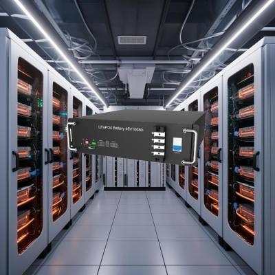 China Customized ESS Lithium Battery Intelligent Monitoring With BMS 2.56kwh 5.12kwh for sale