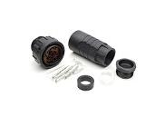 China Amphenol DIP Connector AHDP06-24-91S-BS1-K -40°C to +125°C Black ROHS for sale