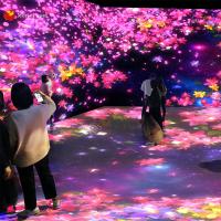 China Kids Entertainment Interactive Holographic Display Wall Projection Games for sale