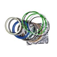 China Excavator Arm Cylinder Seal Kit 4639938 for ZX270 ZX280 Oil Seal Replacement for sale