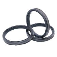 China Piston Seal Kit SPGW for Working Tempereture -40--120C for sale