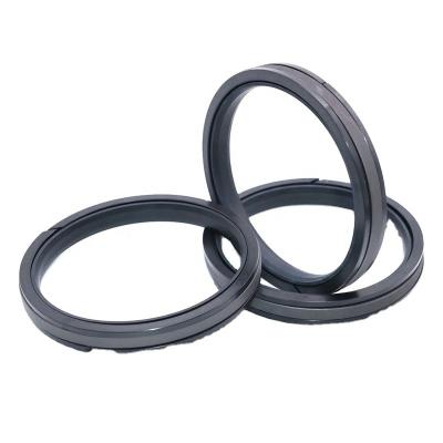 China Piston Seal Kit SPGW for Working Tempereture -40--120C for sale