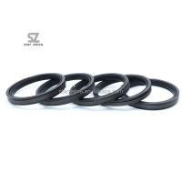 China Piston Seal Kit SPGW for Working Tempereture -40--120C for sale