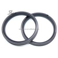 China Piston Seal Kit SPGW for Working Tempereture -40--120C for sale