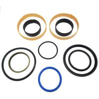 China Volvo Machine Seal Kit VOE11709025 11709025 for Excavator Hydraulic Cylinder for sale