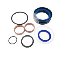 China Volvo Machine Seal Kit VOE11709025 11709025 for Excavator Hydraulic Cylinder for sale