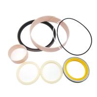 China Hydraulic Cylinder Seal Kit 2450588 2460648 for Excavator Advanced Mechanics Design for sale