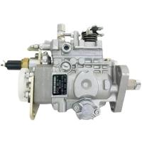 China Diesel Injection Pump 0460424373 5096738 for JX60 JX95 Excavator Engine Parts for sale