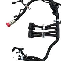 China Electric Control Model Wiring Harness 2864504 2864506 2864484 2864488 2864500 for Diesel Engine for sale