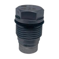 China Fuel Pressure Relief Valve Sensor 1110010017 for Excavator 1110010024 1110010028 F00R000741 for sale