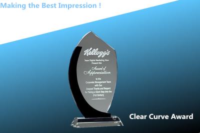 China clear curve award/clear wave trophy/acrylic curve award/acrylic wave trophy for sale