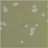 China Eco Friendly 12mm Roll Out Rubber Flooring Abrasion Resistant for sale