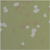 China Eco Friendly 12mm Roll Out Rubber Flooring Abrasion Resistant for sale
