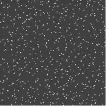 China Anti UV 2x2' Rubber Floor Tiles Good Temperature Resistance for sale