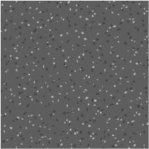 China Anti Slip 12x12