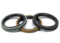 China PTFE Glyd-Ring Oil Seal Gasket - Corrosion Resistant Custom Sizes for Industrial Machinery for sale