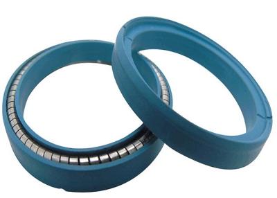 China Custom Wear-Proof Spring Oil Sealing Ring Gasket with High Temperature Resistance for Vehicles and Machinery for sale