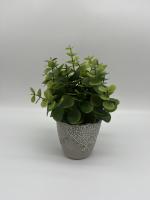China Artificial plants for sale