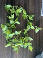 China Artificial plants for sale