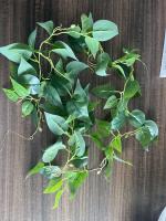 China Artificial plants for sale