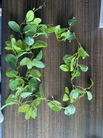 China Artificial plants for sale