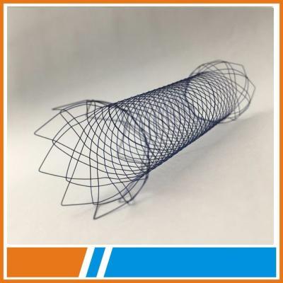China Medical TTS Esophageal Stent With Delivery System with CE and ISO certificate for sale