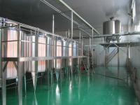 China Technology 10000 KG Mineral Water Production Line for Large Scale Production for sale
