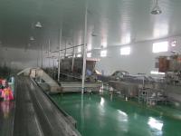China Technology 10000 KG Mineral Water Production Line for Large Scale Production for sale