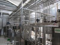 China Automatic Complete Organic Yogurt Processing Line Pasteurizing Freezing Homogenizing for sale