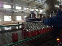 China Full Automatic Small Isobar Drinks Production Plant Advanced Cola Can Filling Plant for sale