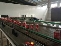 China Full Automatic Small Isobar Drinks Production Plant Advanced Cola Can Filling Plant for sale