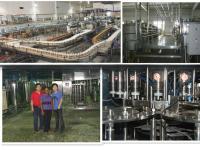 China Highly Accurate 2000BPH Mineral Water Bottling Plant for Optimal Performance for sale